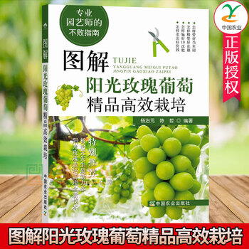 图解阳光玫瑰葡萄精品高效栽培 新理念新技术书 青提晴王阳光玫瑰葡萄树园管理施肥浇水售卖 杨治元专业园艺师的不败指南
