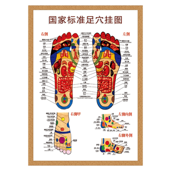 中医养生按摩国家标准足穴挂图脚底足部反射区宣穴位图传画WSA WSA48 国家标准足穴挂图 50x70cm  PP覆膜贴纸