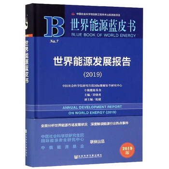 世界能源发展报告(2019)(精)/世界能源蓝皮书