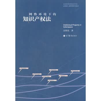 网络环境下的知识产权法