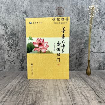 善导大师与念佛法门 林克智编述 宗教文化出版社297页300千字