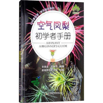 空气凤梨初学者手册