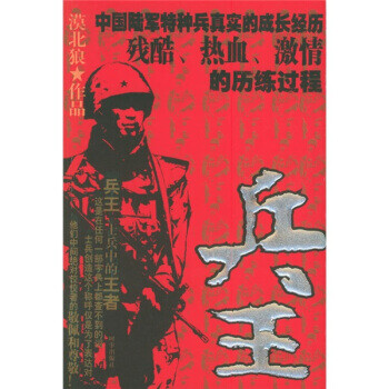 兵王【正版图书】