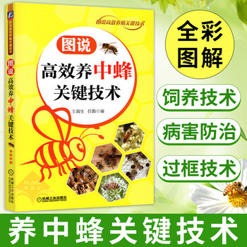 图说高效养中蜂关键技术全套高效中华蜜蜂中蜂养殖饲养书教程百科教科书科学如新法何培养蜜蜂王双群培养法治