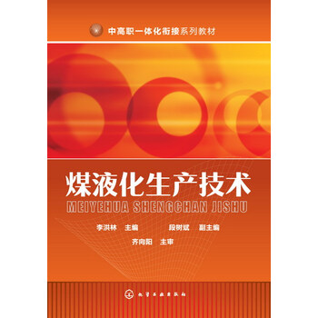 煤液化生产技术 李洪林 主编