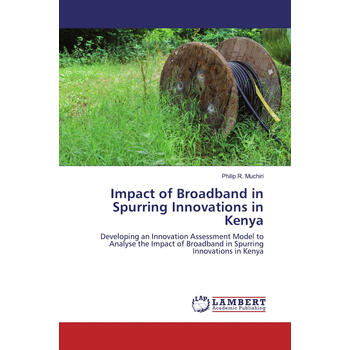 Impact of Broadband in Spurring Innovations in K