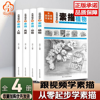 零基础学素描实用教程：结构+静物+几何体+石膏头像（套装共4册 扫码观看教学视频） 从零起步学素描(共4册)