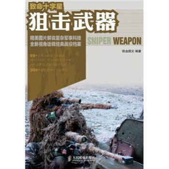 致命十字星 阻击武器