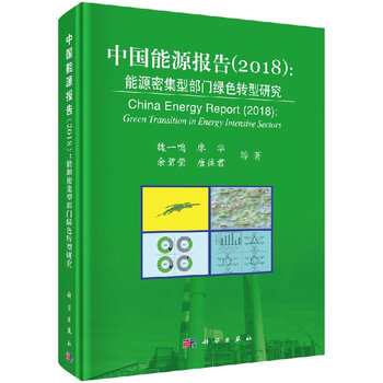 中国能源报告2018\/魏一鸣 科学出版社