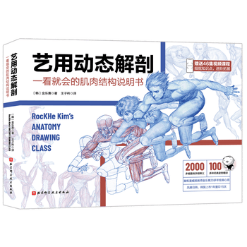 艺用动态解剖 一看就会的肌肉结构说明书 素描绘画教学 漫威插画师金乐熹人体动态结构教程