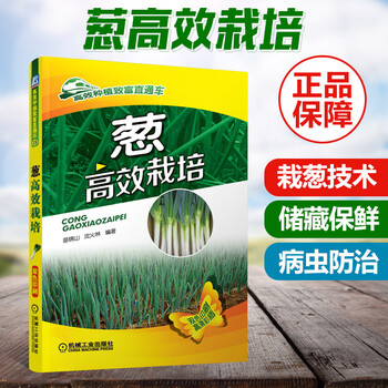 葱高效栽培 苗锦山 栽葱技术书从入门到精通 大葱病虫害诊断 分葱栽培技术 葱高效栽培技术 大葱种植书