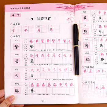 2022春版四年级下册字帖人教版四年级语文练字帖 小学同步4年级教材课本 小学生四年级下学期钢笔临摹练字生字写字帖天天练