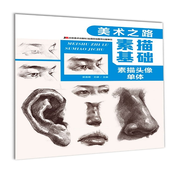 素描基础(素描头像单体)/美术之路