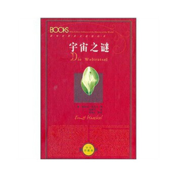 宇宙之谜【正版图书】