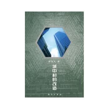 城中村的改造【正版图书】