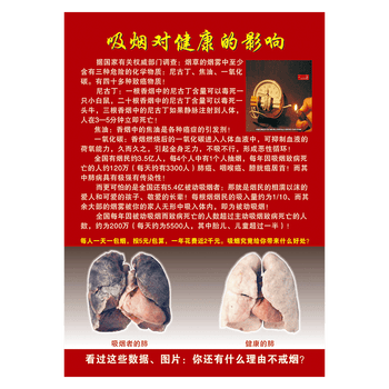 禁止吸烟标贴纸标语标识控烟禁烟公益广告文化招贴画挂图无烟校园宣传画覆膜防水贴纸TYH TYH01 吸烟有害健康 60*40厘米 覆膜防水PP贴纸