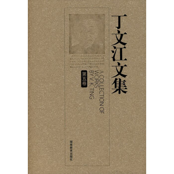 丁文江文集(第五卷)