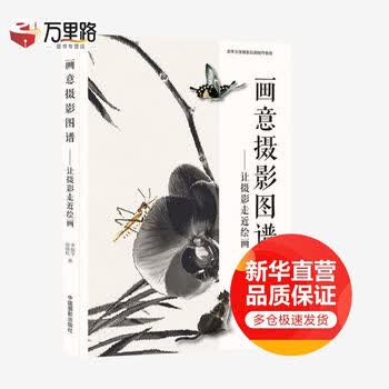 画意摄影图谱——让摄影走进绘画