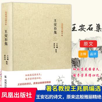王安石集