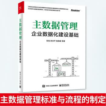 主数据管理 企业数据化建设基础 主数据定义建模 主数据管理标准流程制定 主数据管理书籍电子工业出版社