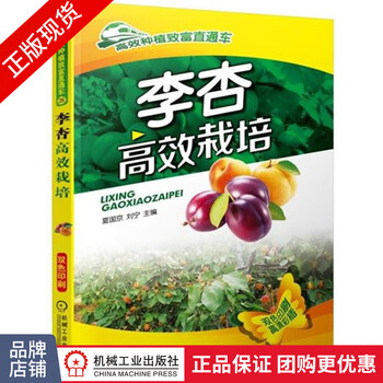 正版包邮 李杏高效栽培4939997