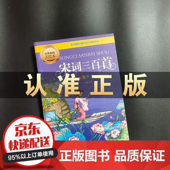 经典典藏美绘本  彩图注音版 宋词三百首  江西美术出版社