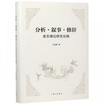 分析叙事修辞(音乐理论研究论稿)(精)