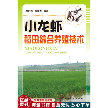 小龙虾稻田综合养殖技术