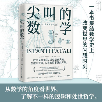 尖叫的数学 令人惊叹的数学之美（国际数学杂志《数学史》前主编翁贝托·博塔兹尼带你从数学的角度看世界）