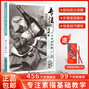 专注杨富素描静物一线教学成辉素描几何体单体静物组合结构大关系完整素描绘画技法高校联考临摹教程教材美术书籍