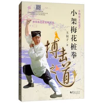 小架梅花桩拳