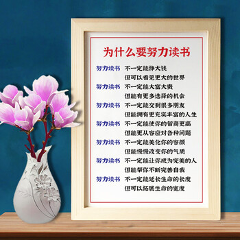 努力的意义 书房挂画中高考加油礼物励志字画摆件书法座右铭实木相框挂墙画框UTK UTK05 为什么要努力读书 A3(挂墙专用)