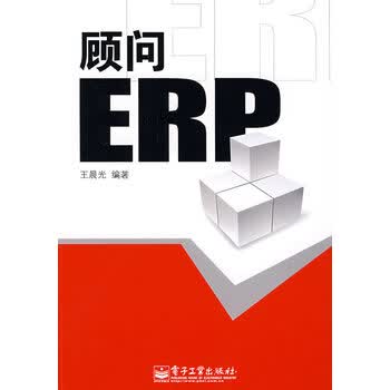 顾问ERP 王晨光　编著 9787121074707
