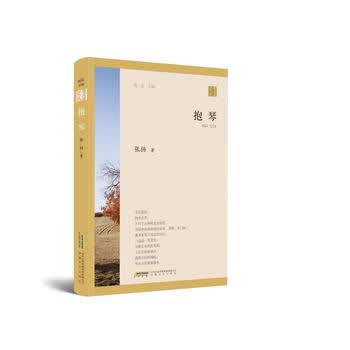 【正版图书】抱琴 张扬 安徽文艺出版社