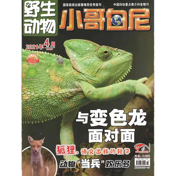 【单本包邮】小哥白尼野生动物杂志 2021年1/2/3/4/5/6/7/8/9/10/11/12期 小学生课外科普百科读物 图文并茂青少年人文科学画刊 7-12岁 2021年4期