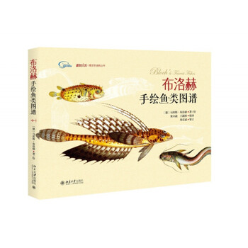 布洛赫手绘鱼类图谱 北京大学旗舰店正版