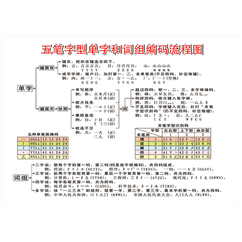 86版五笔字型图字根表助记词口诀易懂易记图解贴画自粘贴纸SCH05 SCH05-04 五笔字型单字和词组编码流程图 A4(21x29.7cm)  不干胶背胶纸