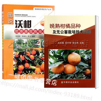 2册图说沃柑优质高效栽培技术+晚熟柑橘品种及无公害栽培技术问答 柑橘种植技术书果树修剪书籍 芦柑砂糖