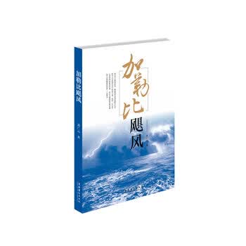 加勒比飓风 刘广元著