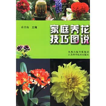 家庭养花技巧图说【正版图书】