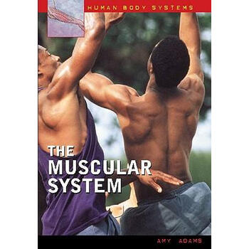 The Muscular System