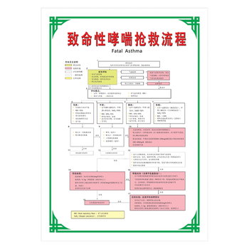 医院制度急救程序挂图过敏性休克抢救流程图示意图墙贴纸WSB169 WSB169-32 40*60cm  PP覆膜贴纸