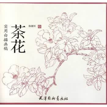 实用白描画稿 茶花