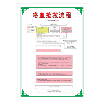医院制度急救程序挂图过敏性休克抢救流程图示意图墙贴纸WSB169 WSB169-27 40*60cm  PP覆膜贴纸