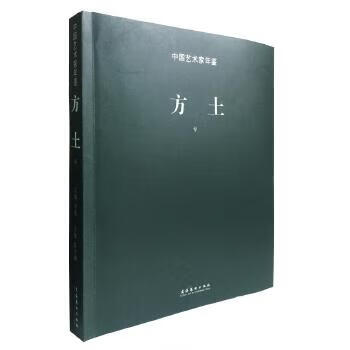 中国艺术家年鉴 方土卷 陈子游 文化艺术出版社 9787503966743
