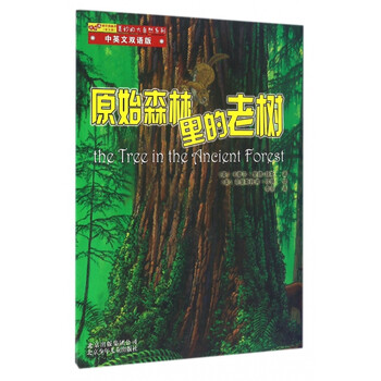 原始森林里的老树
