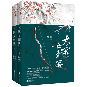 大宋女刺客上下