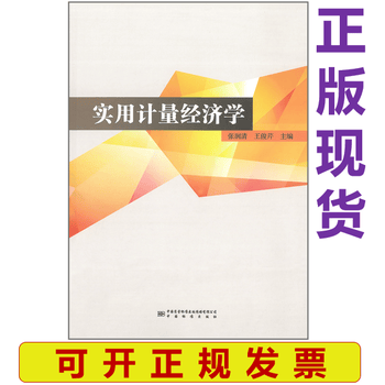 【】实用计量经济学 张润清 王俊芹 主编