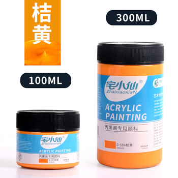 丙烯颜料防水手绘画材料diy墙绘彩绘工具24色画鞋子12色300ml白色炳稀染料不掉色儿童涂鸦丙 桔黄 300ml