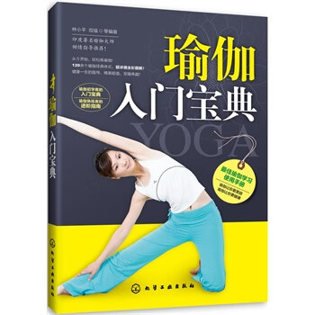 瑜伽入门宝典【正版图书】